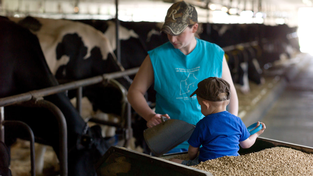 Conant Acres Canton, ME – Cabot Creamery