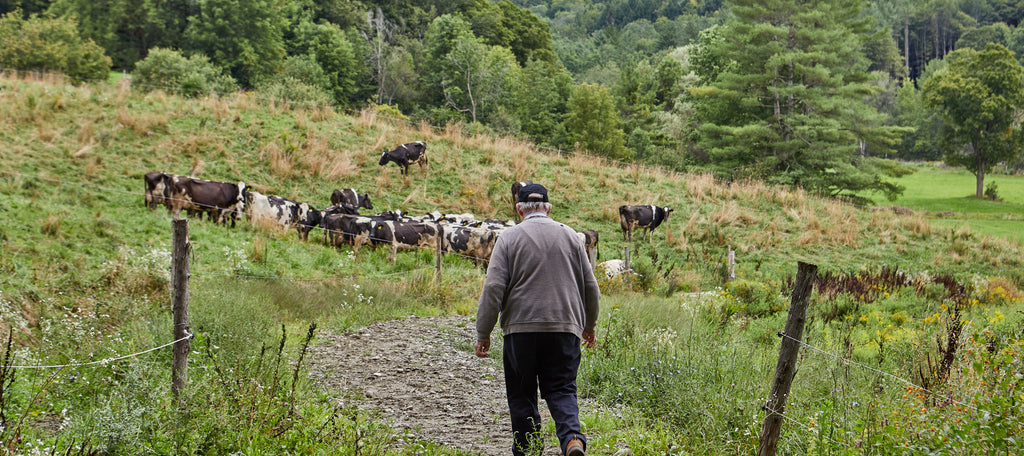 Doton Farm: Four Generations of Farming – Cabot Creamery