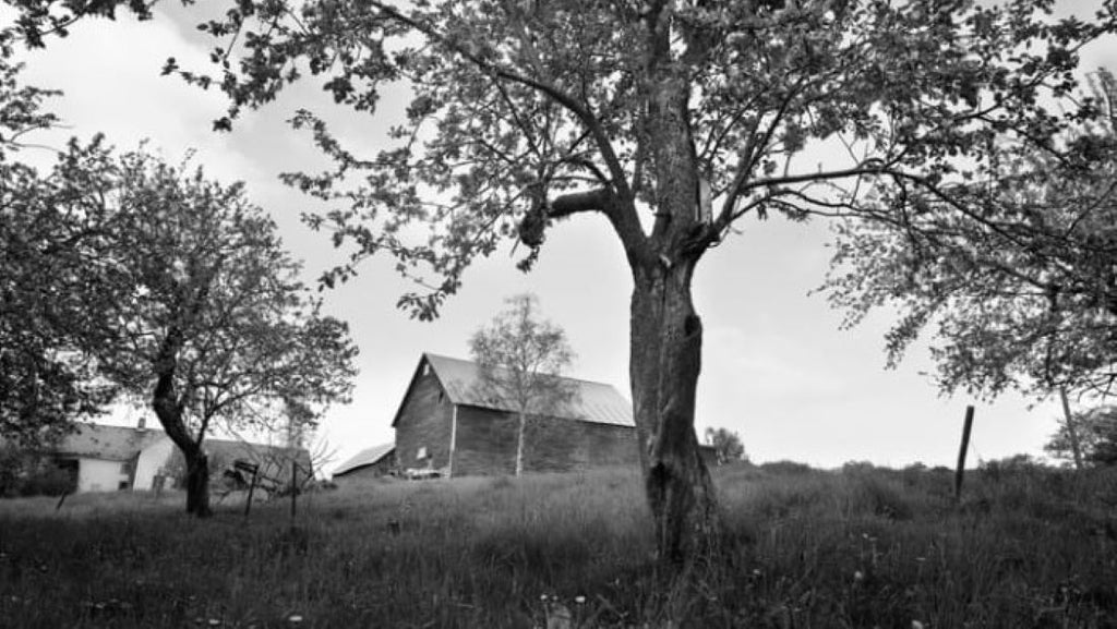 Farmer Friday: Wallace Farm – Cabot Creamery